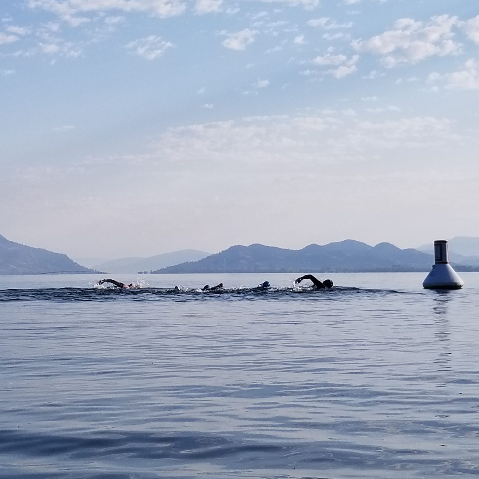 cedarcreekswimloop.com – Cedar Creek Swim Loop, Kelowna, BC
